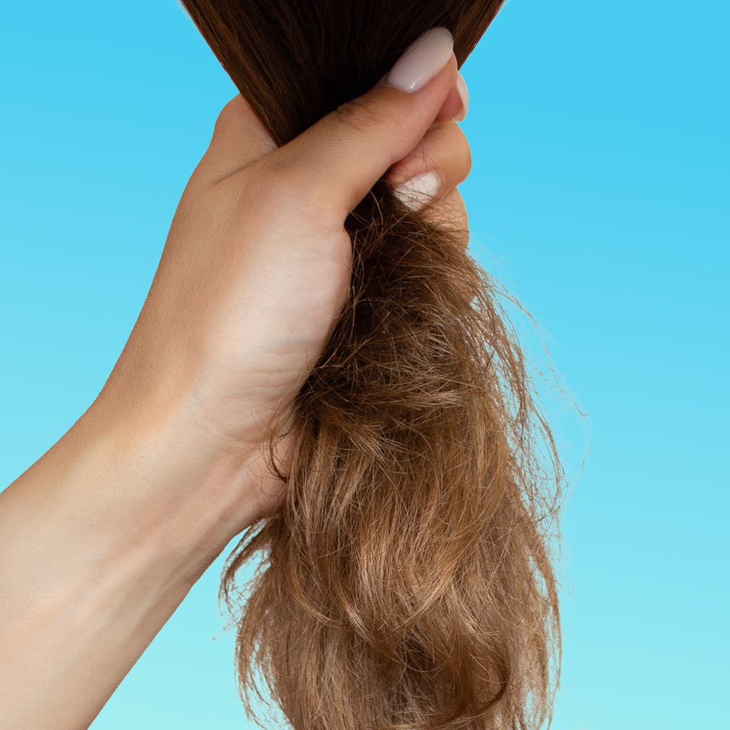 How To Choose the Best HASK Hair Products to Tame Your Frizzy Hair ...